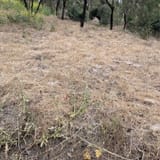 Murphy Ranch Trail , California - 1,495 Reviews, Map | AllTrails