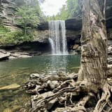 Greeter Falls Loop, Tennessee - 1,380 Reviews, Map | AllTrails
