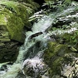 Cascade Falls Loop Trail, Massachusetts - 875 Reviews, Map | AllTrails