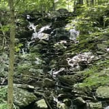 Cascade Falls Loop Trail, Massachusetts - 875 Reviews, Map | AllTrails