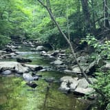 Pine Log Creek Trail, Georgia - 2,559 Reviews, Map | AllTrails