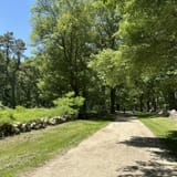 Battle Road Trail, Massachusetts - 1,141 Reviews, Map | AllTrails