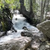 Neff's Canyon Loop, Utah - 2,656 Reviews, Map | AllTrails