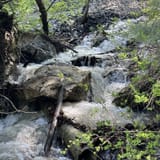 Neff's Canyon Loop, Utah - 2,656 Reviews, Map | AllTrails