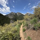 Tibble Fork Loop Trail, Utah - 817 Reviews, Map | AllTrails
