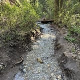 Tibble Fork Loop Trail, Utah - 817 Reviews, Map | AllTrails