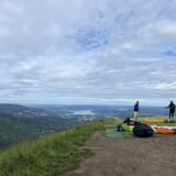 Poo Poo Point Trail, Washington - 6,484 Reviews, Map | AllTrails