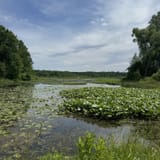 Waterloo-Pinckney Trail, Michigan - 497 Reviews, Map | AllTrails