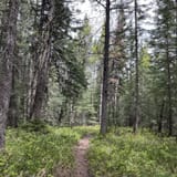 Middle Lake Trail, Alberta, Canada - 238 Reviews, Map | AllTrails