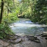 Whatcom Creek Trail Loop, Washington - 1,867 Reviews, Map | AllTrails