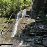 Yellow Branch Falls Trail, South Carolina - 2,779 Reviews, Map | AllTrails