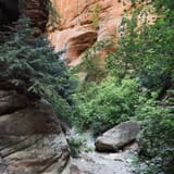 Spring Creek Canyon, Utah - 1,356 Reviews, Map | AllTrails