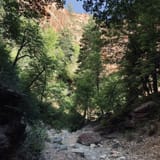Spring Creek Canyon, Utah - 1,356 Reviews, Map | AllTrails