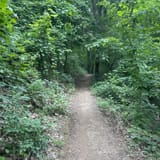 Stringers Ridge via Blue Trail, Tennessee - 2,106 Reviews, Map | AllTrails