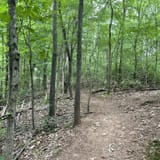 Stringers Ridge via Blue Trail, Tennessee - 2,106 Reviews, Map | AllTrails