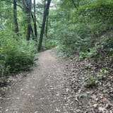 Stringers Ridge via Blue Trail, Tennessee - 2,106 Reviews, Map | AllTrails