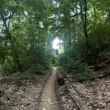 Stringers Ridge via Blue Trail, Tennessee - 2,106 Reviews, Map | AllTrails