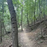 Stringers Ridge via Blue Trail, Tennessee - 2,106 Reviews, Map | AllTrails