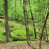White Bison Loop, Missouri - 2,449 Reviews, Map | AllTrails