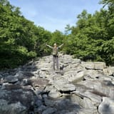 Wolf Rocks via Appalachian Trail, Pennsylvania - 896 Reviews, Map ...