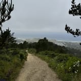 Sweeney Ridge Trail via Mori Ridge, California - 1,545 Reviews, Map ...