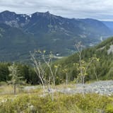 Ira Spring Memorial Trail, Washington - 2,140 Reviews, Map | AllTrails
