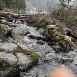 Ira Spring Memorial Trail, Washington - 2,104 Reviews, Map | AllTrails