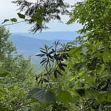 Grotto Falls via Trillium Gap Trail, Tennessee - 6,504 Reviews, Map ...