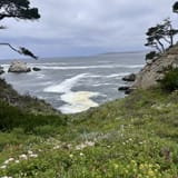Point Lobos Loop, California - 7,752 Reviews, Map | AllTrails