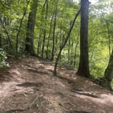 Lake Johnson Trail, North Carolina - 1,015 Reviews, Map | AllTrails