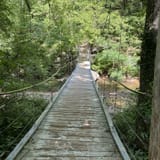 Tanyard Perimeter Loop, Arkansas - 2,865 Reviews, Map | AllTrails