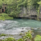 Welch Spring Trail, Missouri - 111 Reviews, Map | AllTrails
