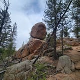 Turtle Rock Loop Trail, Wyoming - 1,186 Reviews, Map | AllTrails