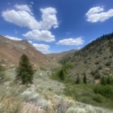 Hunter Creek Trail, Nevada - 4,629 Reviews, Map | AllTrails