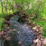 Soo Line Trail Southern Route, Minnesota - 35 Reviews, Map | AllTrails