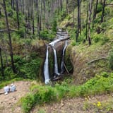 Oneonta Trail, Oregon - 724 Reviews, Map | AllTrails