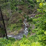 Oneonta Trail, Oregon - 724 Reviews, Map | AllTrails