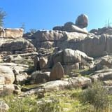 Turtle Rock Loop Trail, Wyoming - 1,246 Reviews, Map | AllTrails
