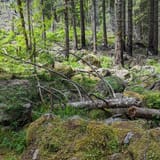 Oneonta Trail, Oregon - 724 Reviews, Map | AllTrails