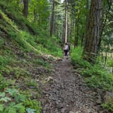 Oneonta Trail, Oregon - 724 Reviews, Map | AllTrails