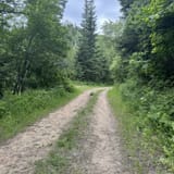 Rathdrum Mountain Trail, Idaho - 323 Reviews, Map | AllTrails
