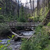 Oneonta Trail, Oregon - 724 Reviews, Map | AllTrails