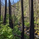 Oneonta Trail, Oregon - 724 Reviews, Map | AllTrails
