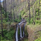 Oneonta Trail, Oregon - 724 Reviews, Map | AllTrails