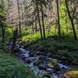 Oneonta Trail, Oregon - 724 Reviews, Map | AllTrails