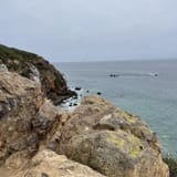 Point Dume Cove Trail, California - 1,821 Reviews, Map | AllTrails