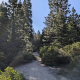 Bassi Falls, California - 3,066 Reviews, Map | AllTrails