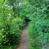 Cash Lake Loop Trail, Maryland - 1,144 Reviews, Map | AllTrails