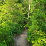 Cash Lake Loop Trail, Maryland - 1,144 Reviews, Map | AllTrails