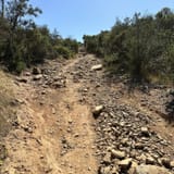 Nighthawk Trail to Black Mountain Summit, California - 2,529 Reviews ...